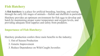 fin fish hatchery | PPTX
