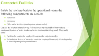 fin fish hatchery | PPTX