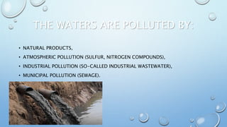Water pollution Group 4 | PPTX