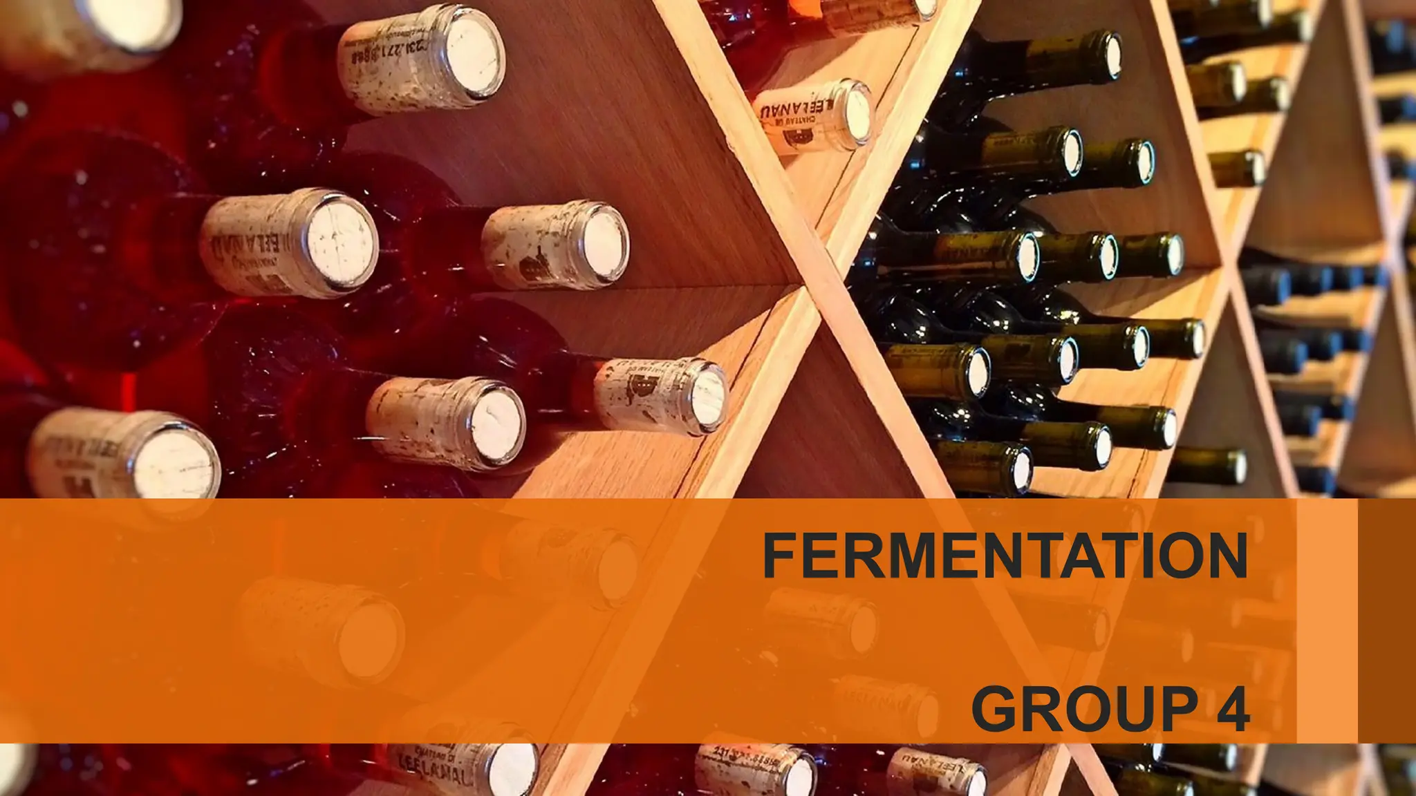 Fermentation in food processing and preservation | PDF