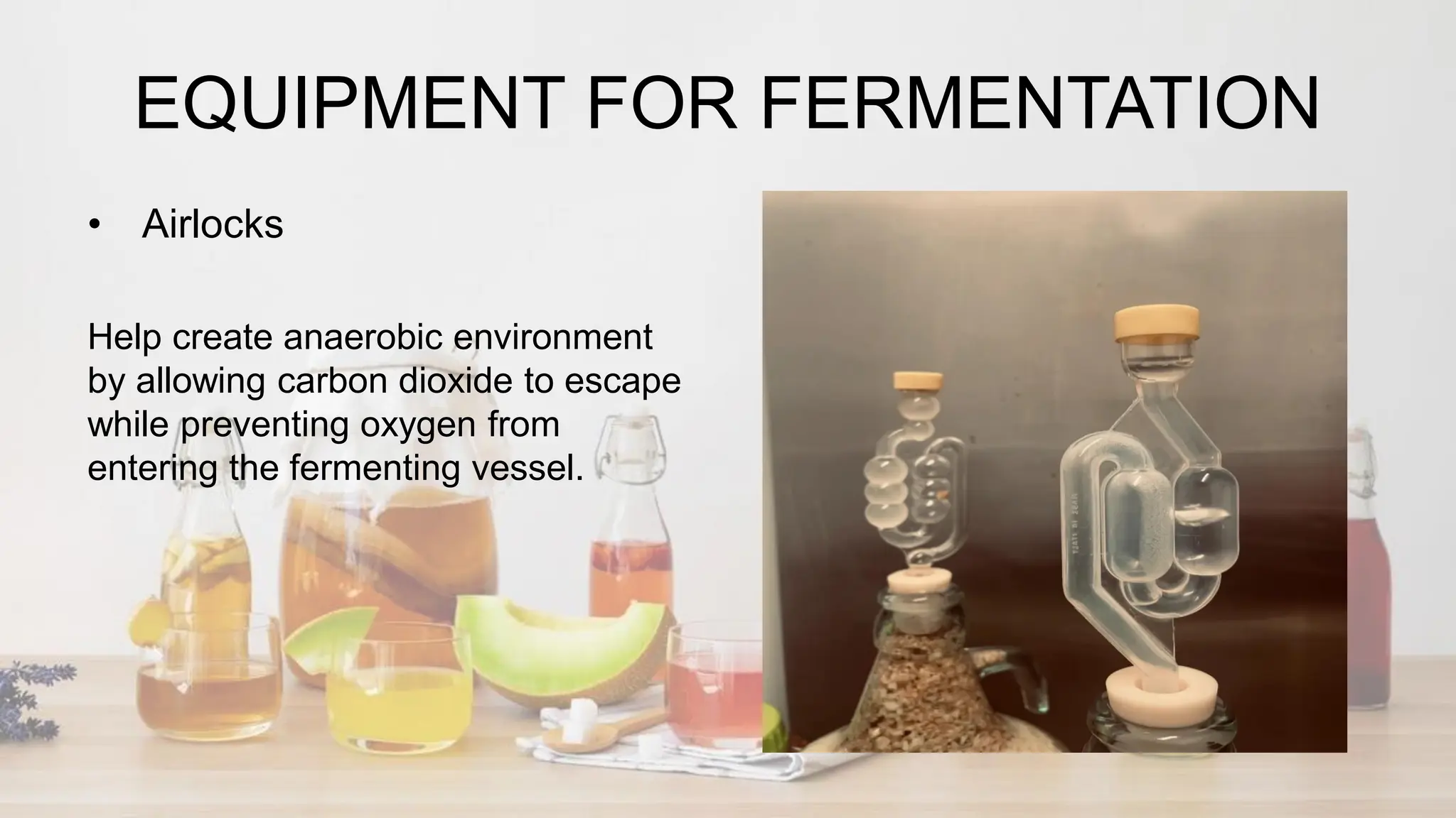 Fermentation in food processing and preservation | PDF
