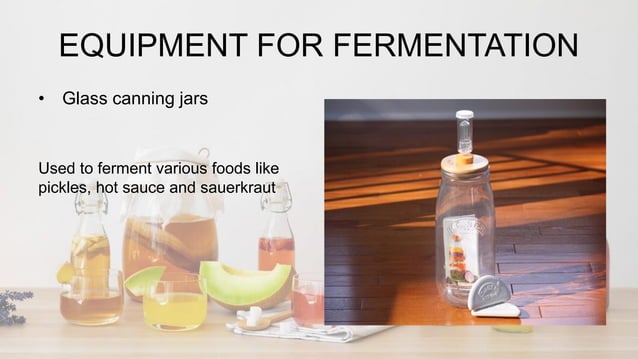 Fermentation in food processing and preservation | PDF | Digestive ...