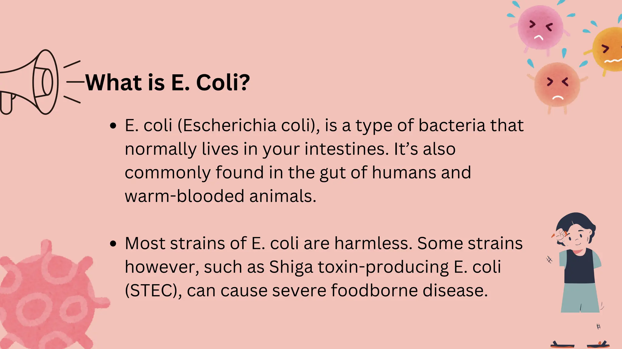 Shiga toxin producing (stec) also known as e. coli | PPT