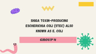 Shiga toxin producing (stec) also known as e. coli | PPT
