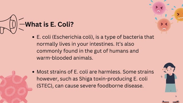 Shiga toxin producing (stec) also known as e. coli | PPT