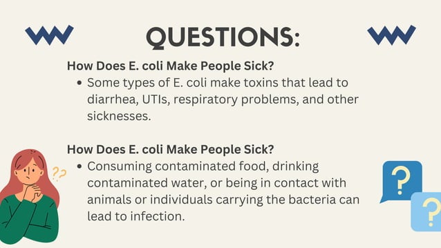 Shiga toxin producing (stec) also known as e. coli | PPT