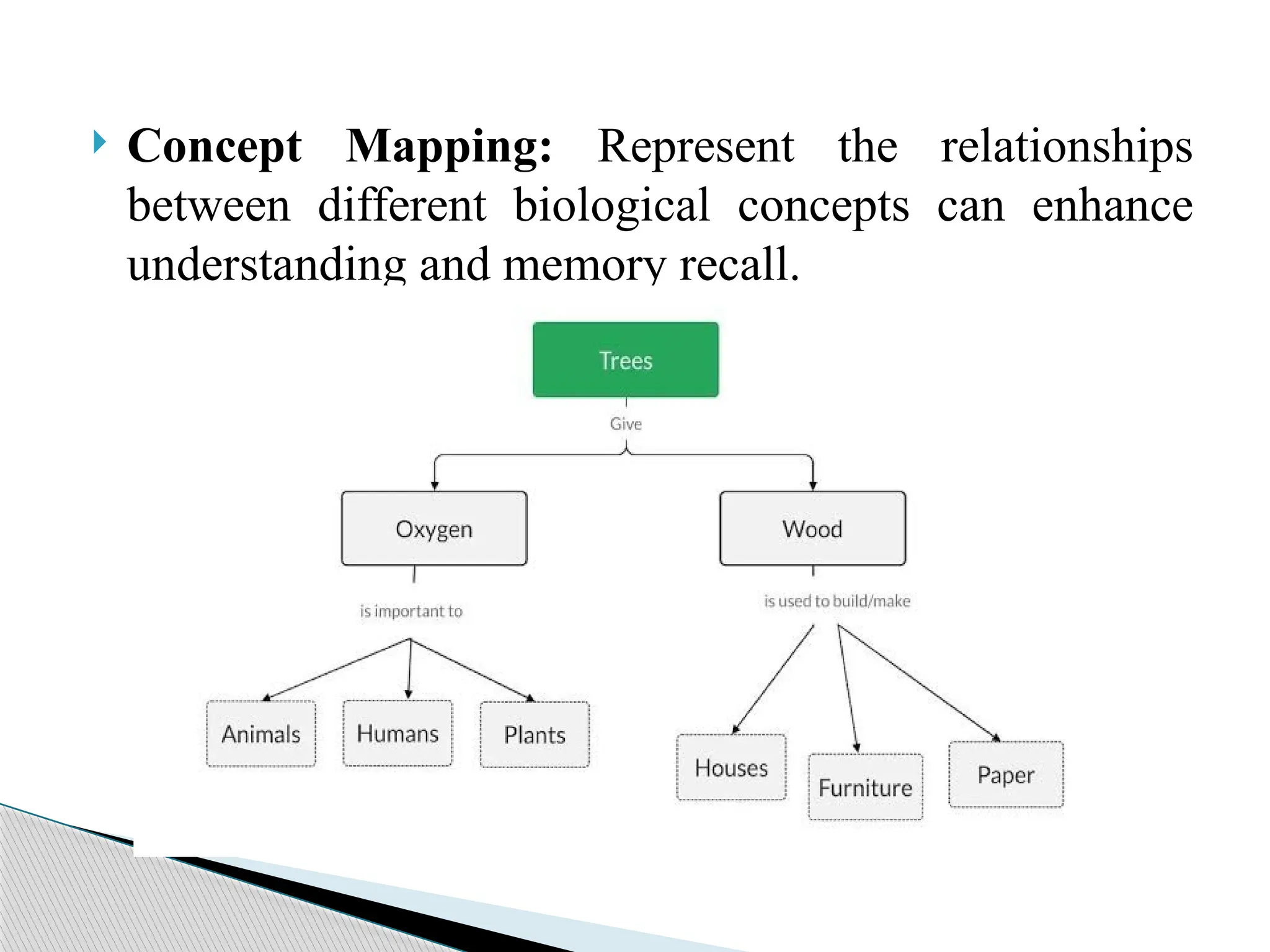 Presentation: Principle of Mental Disciplines | PPTX