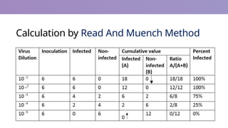 Titration of microbes, Eid/TCID50...pptx