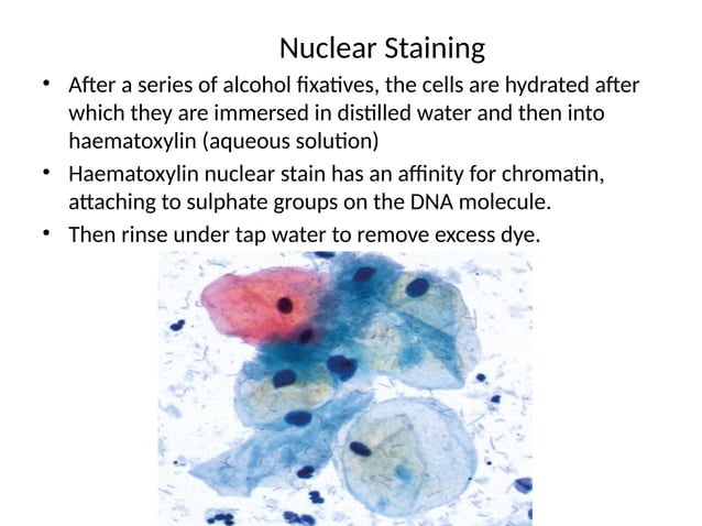 GROUP 4.pppppppppppppppppppppppppppppptx | PPT