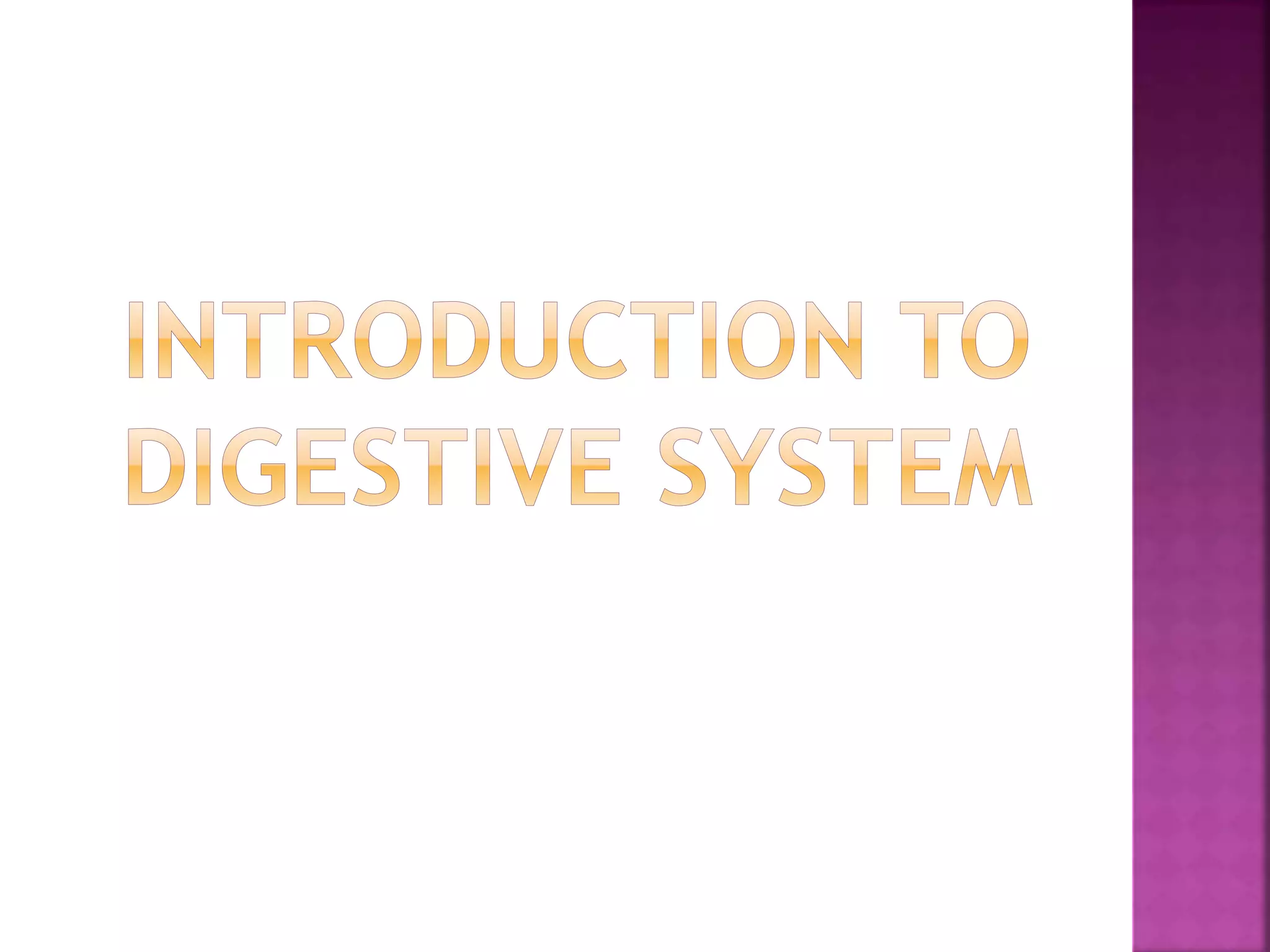 Comparative Anatomy - Digestive System | PPTX