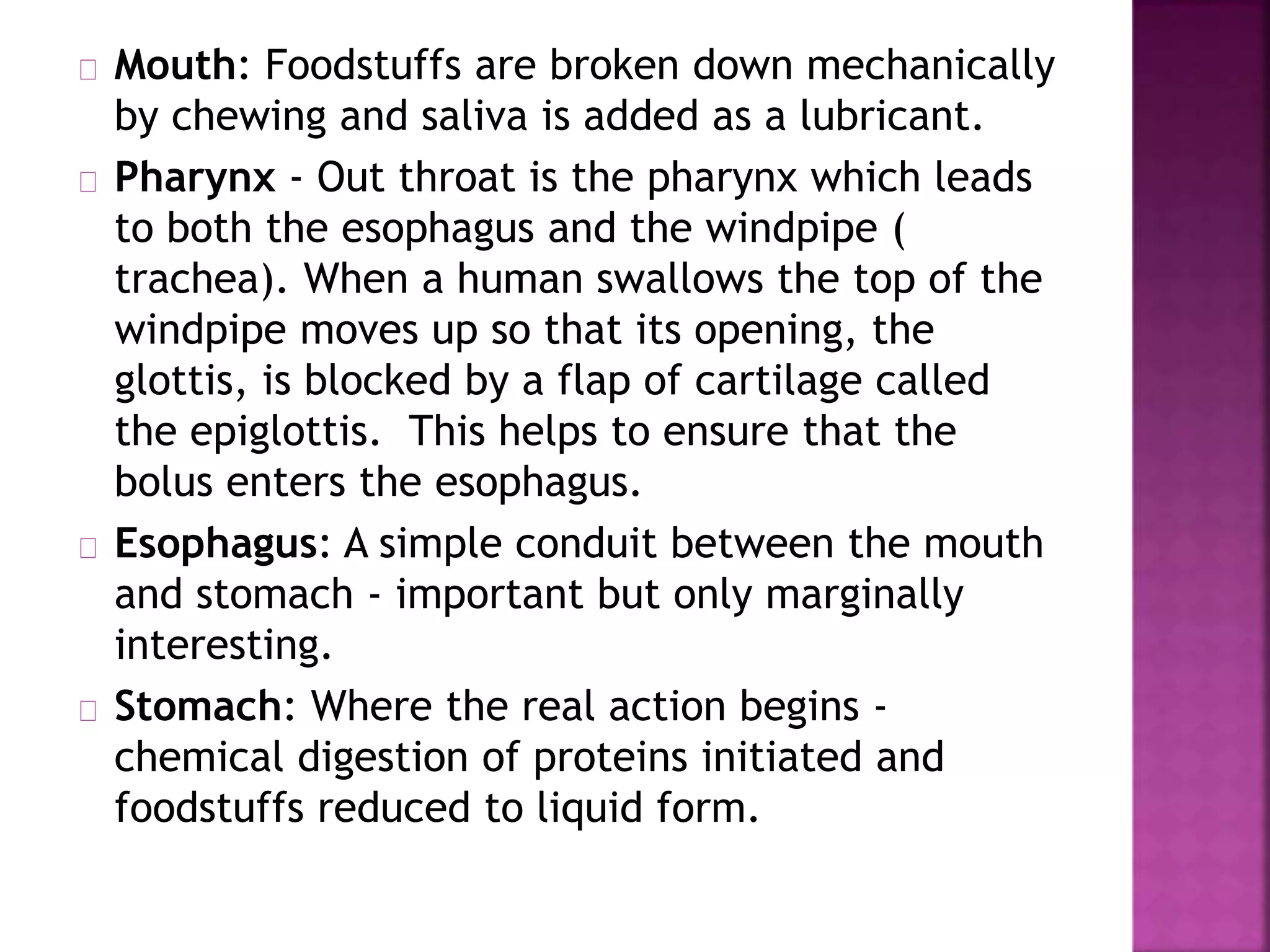 Comparative Anatomy - Digestive System | PPTX