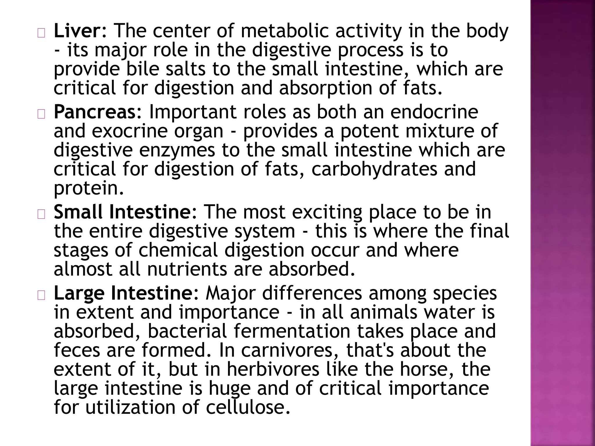 Comparative Anatomy - Digestive System | PPTX