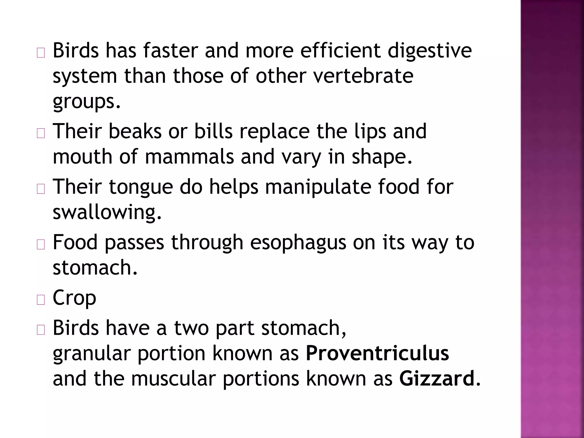 Comparative Anatomy - Digestive System | PPTX