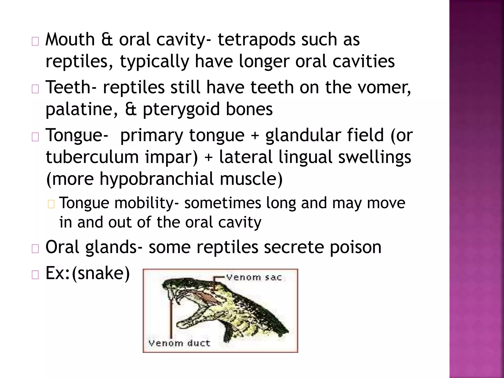 Comparative Anatomy - Digestive System | PPTX