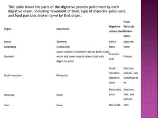 Comparative Anatomy - Digestive System | PPTX