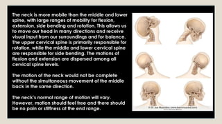 Assessment of neck pain and associated physical diability.pptx