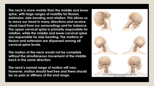 Assessment of neck pain and associated physical diability.pptx | Death ...