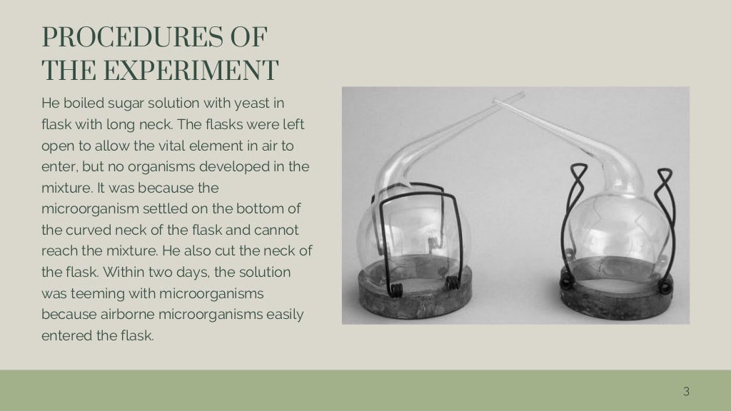 Group 4 - Pasteur’s Experiment | PDF