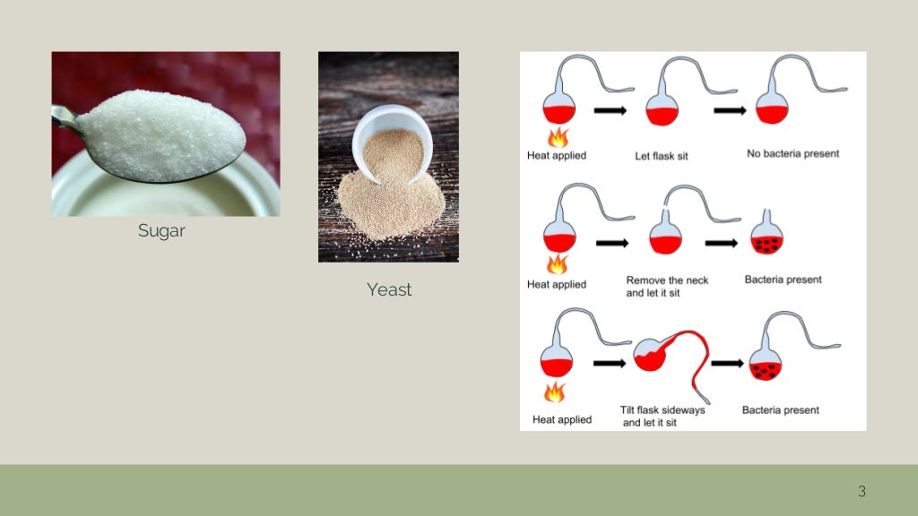 Group 4 - Pasteur’s Experiment | PDF