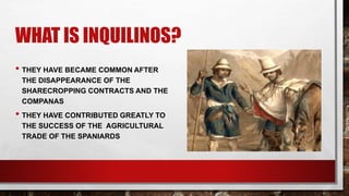 GROUP 4 - THE EARLY PERIOD OF SPANISH SETTLEMENT.pptx | Agriculture ...