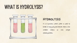 GROUP 4 ACTIVITY 4 HYDROLYSIS OF CARBOHY | PDF | Chemistry | Science