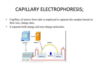 Group 4 Analytical Chemistry-1.pptx