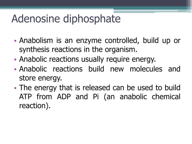(Group4)atp adp-nad-nadh anabolism | PPTX | Chemistry | Science