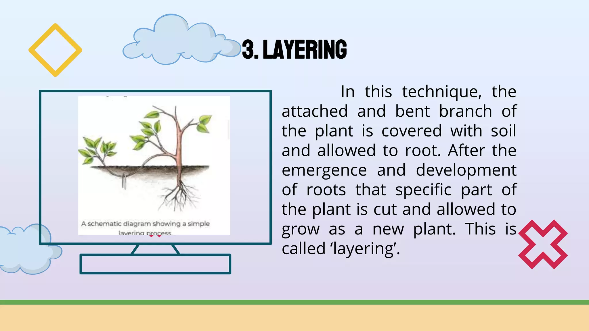 AGR23 Planting Materials.pptx