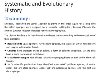 Group #4[Evolution].pptx
