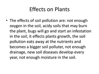 Group 4 – land and water pollution | PPT