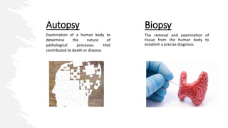 good laboratory practices for Pathology Laboratory.pptx
