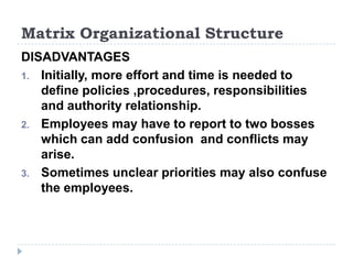 organizational structures | PPTX | Developmental Sites | Real Estate