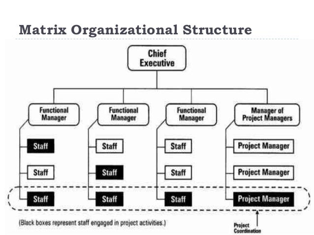 organizational structures
