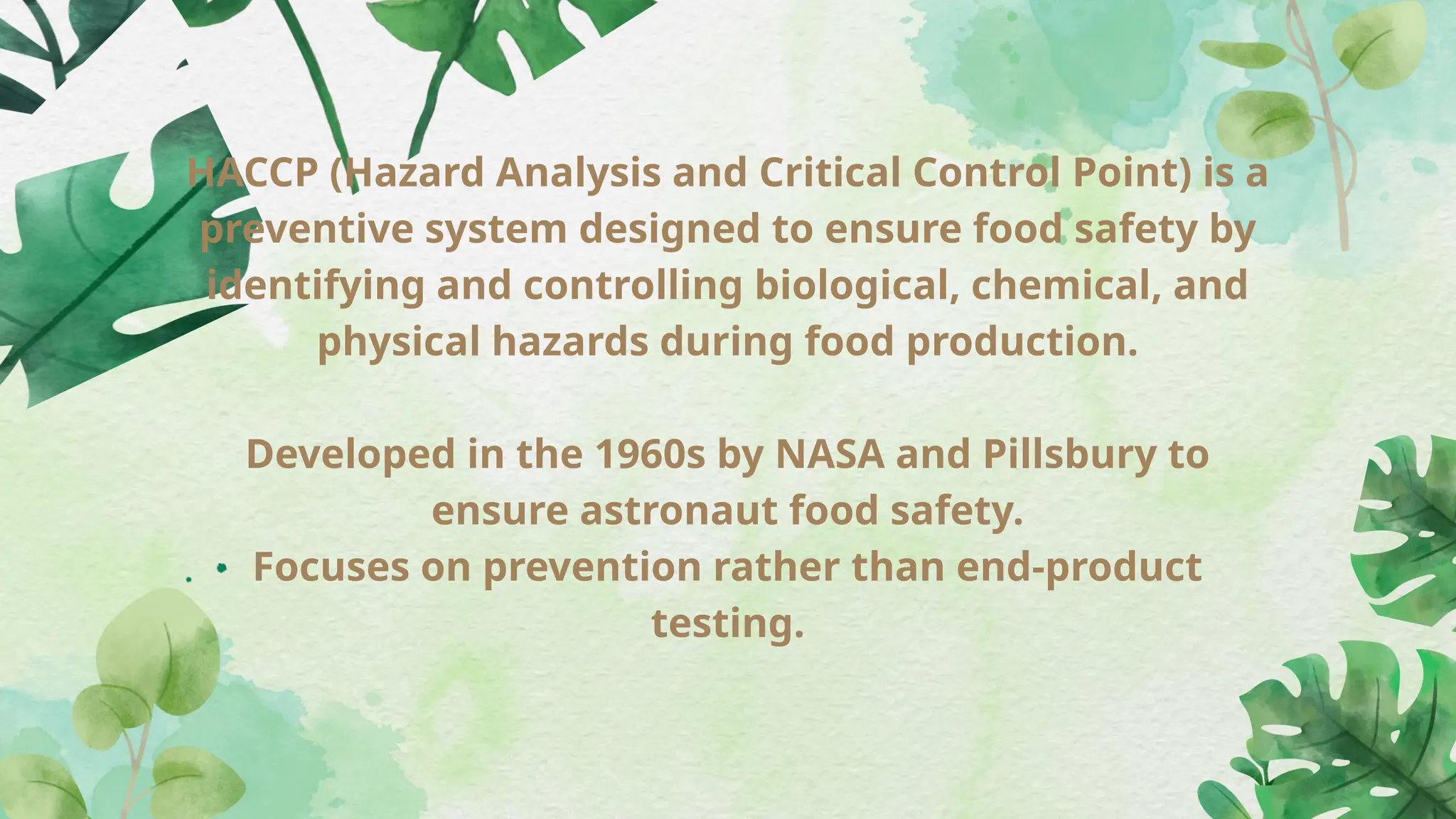 group 4 plant sanitation and haccp for food processing.pptx