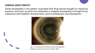 group 4 Presentation..pptx