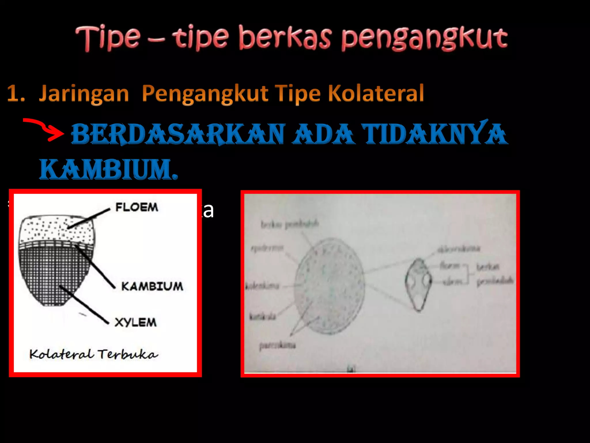 BIOLOGI - JARINGAN TUMBUHAN | PPT