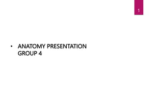 Group 4 presentation faw.pptx