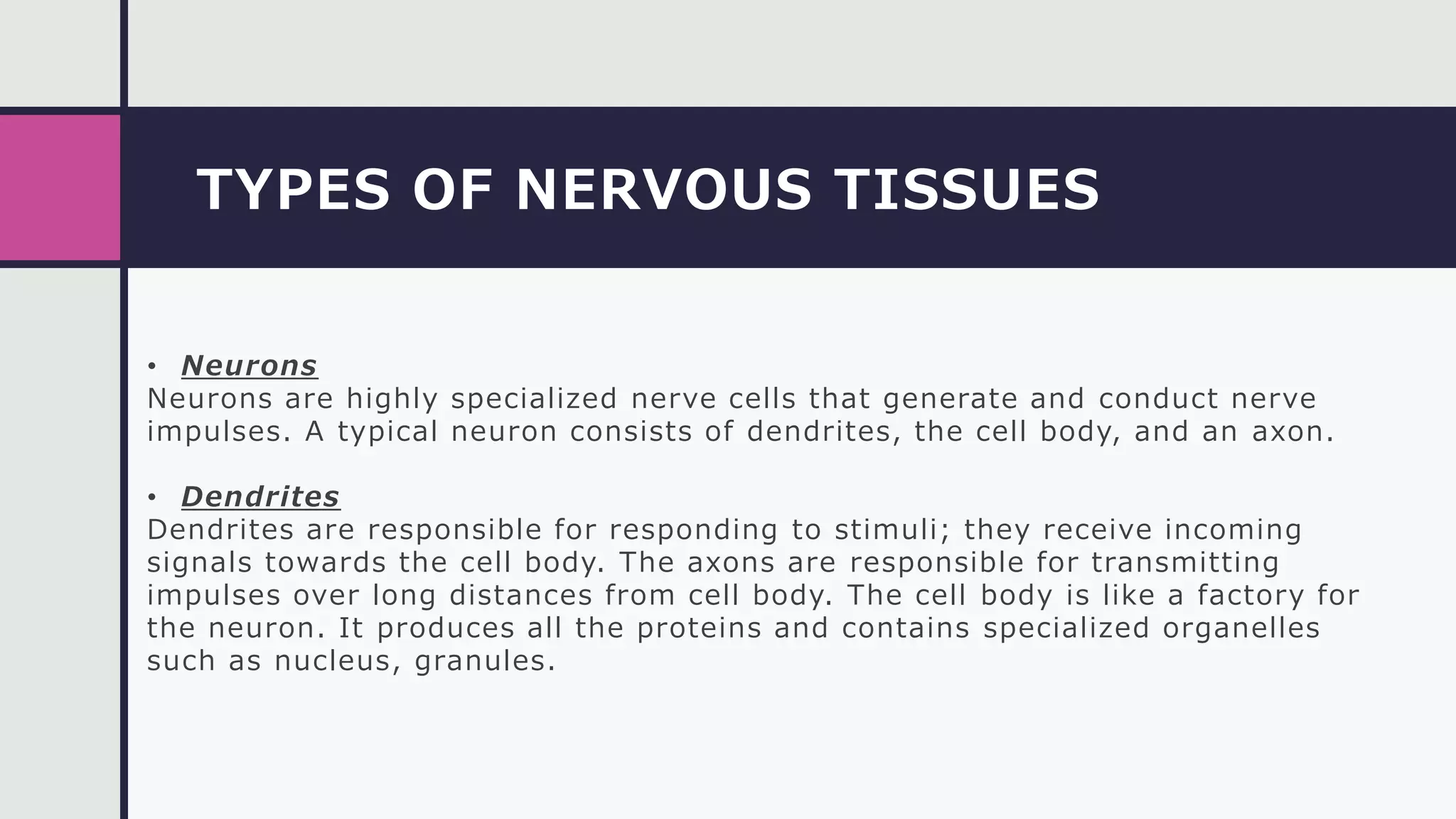 types of animal tissues class 9 | PPTX