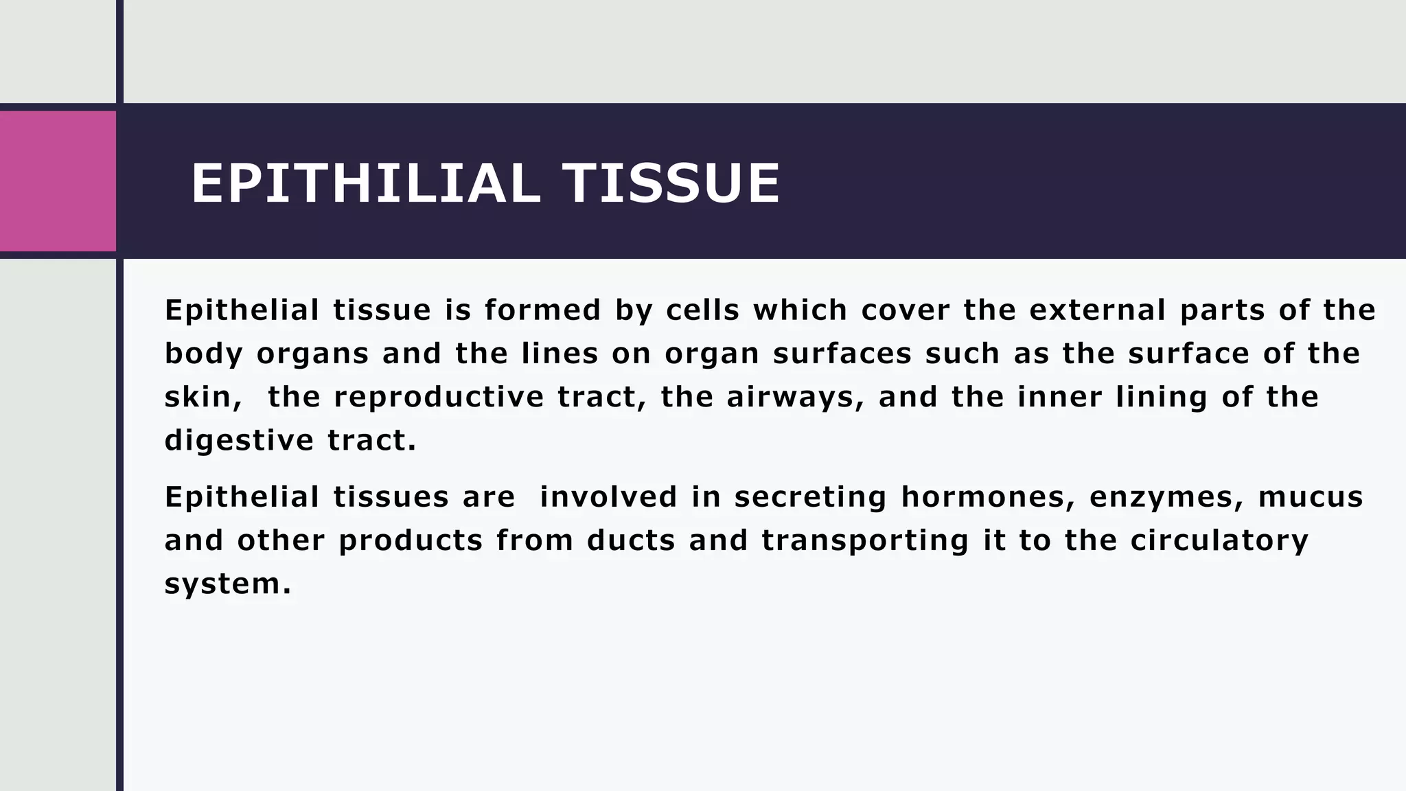 types of animal tissues class 9 | PPTX