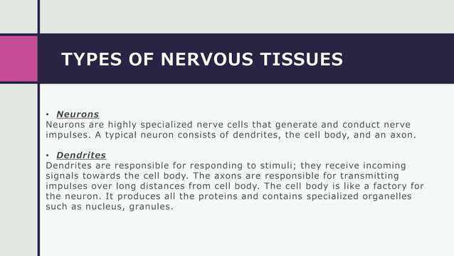types of animal tissues class 9 | PPTX | Bone and Joint Conditions | Diseases and Conditions