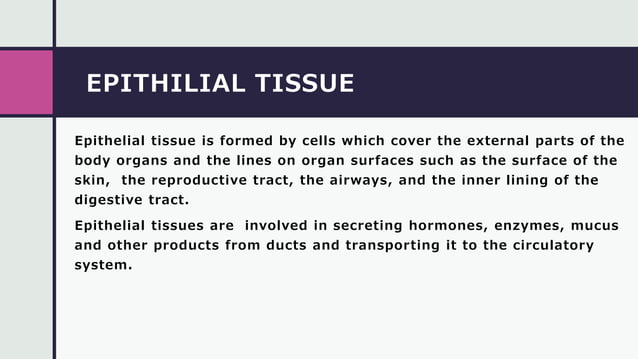types of animal tissues class 9 | PPTX | Bone and Joint Conditions | Diseases and Conditions