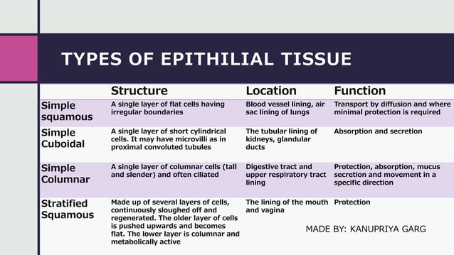 types of animal tissues class 9 | PPTX | Bone and Joint Conditions | Diseases and Conditions