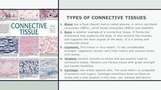 types of animal tissues class 9 | PPTX