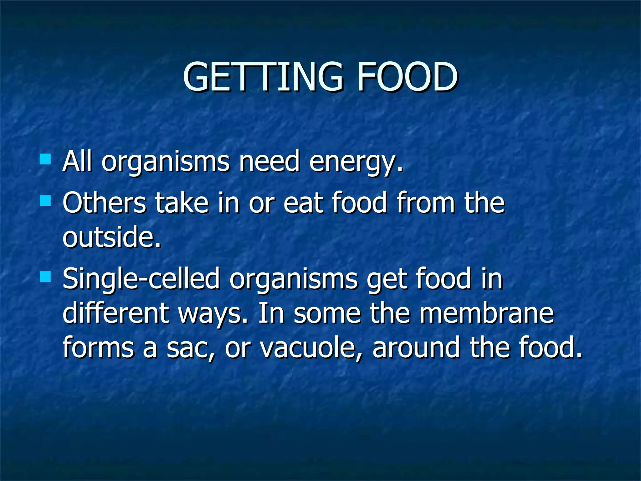 Single-celled Organism | PPT