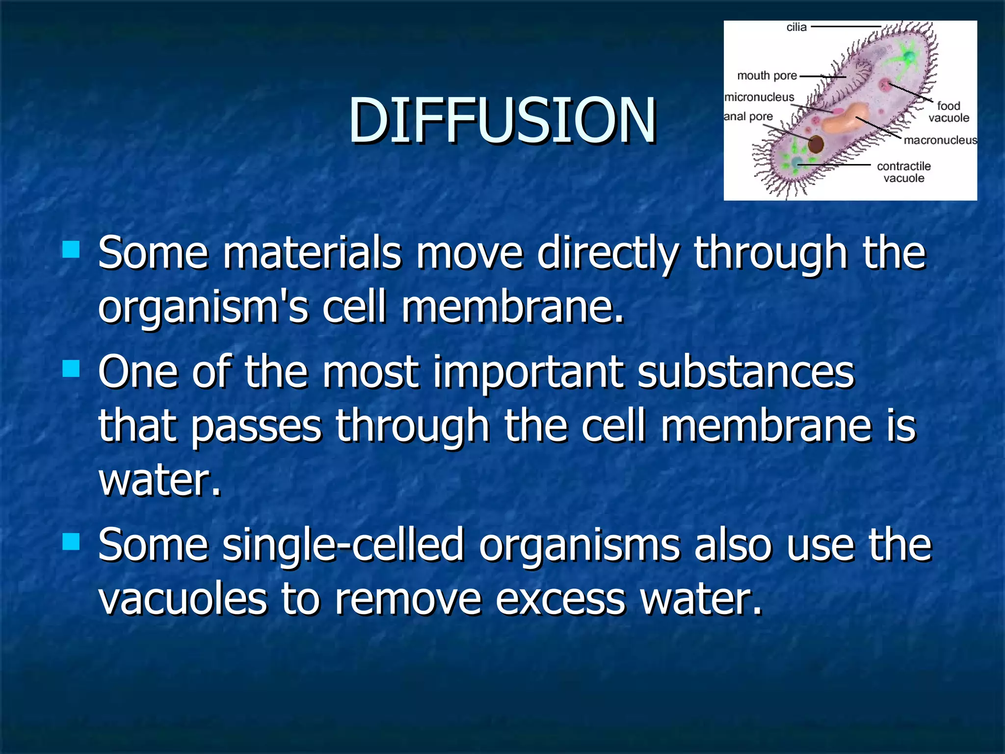 Single-celled Organism | PPT