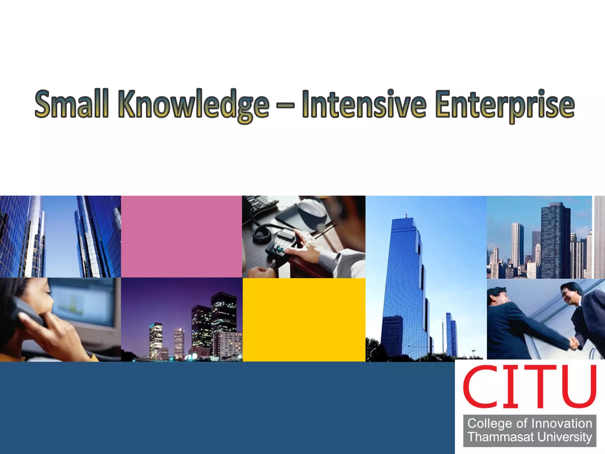 Group4: Small Knowledge - Intensive Enterprise | PPT