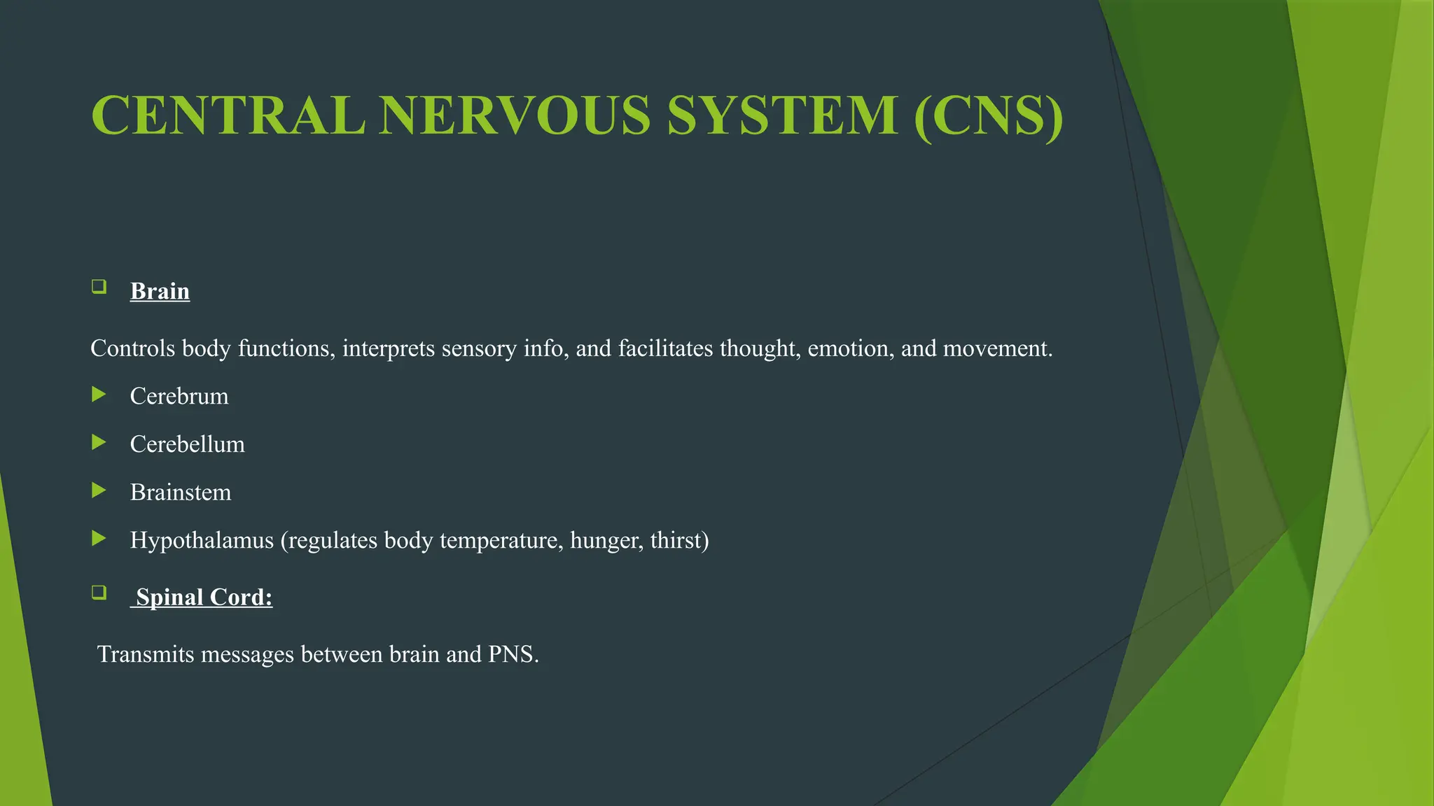 Simple PowerPoint on nervous system for nursing students | PPTX