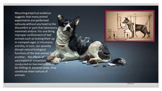 ANIMAL TESTING Debate.pdf