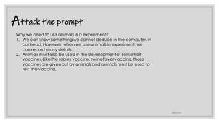 ANIMAL TESTING Debate.pdf