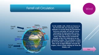 Winds & it's types | PPTX